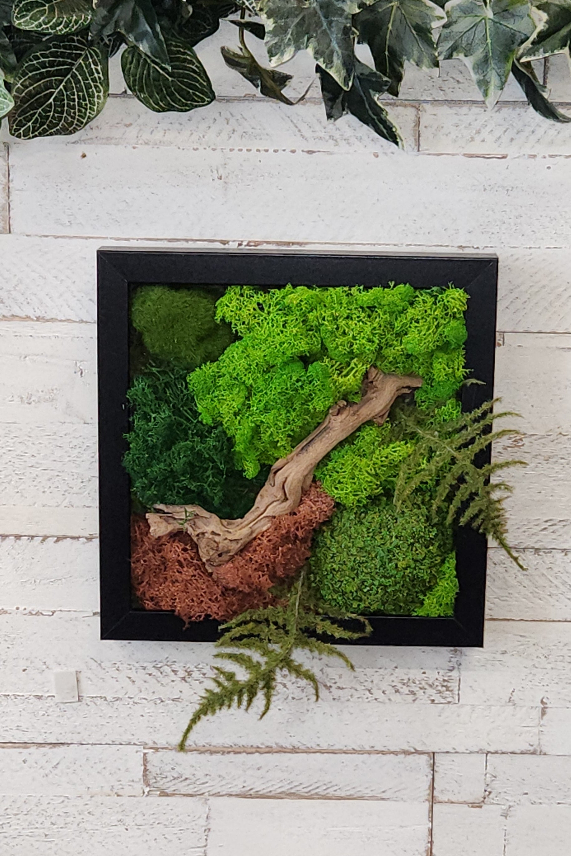 moss wall frame